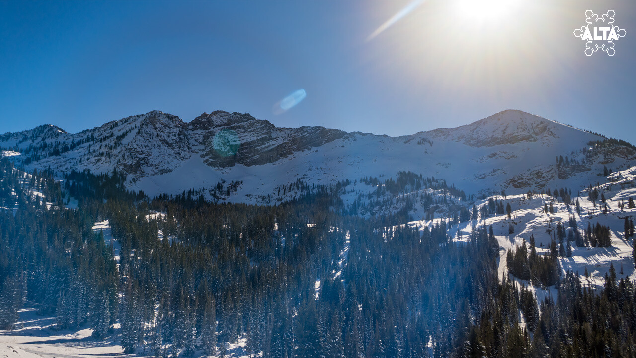 Alta Ski Area Weather Cams - Utah Cams