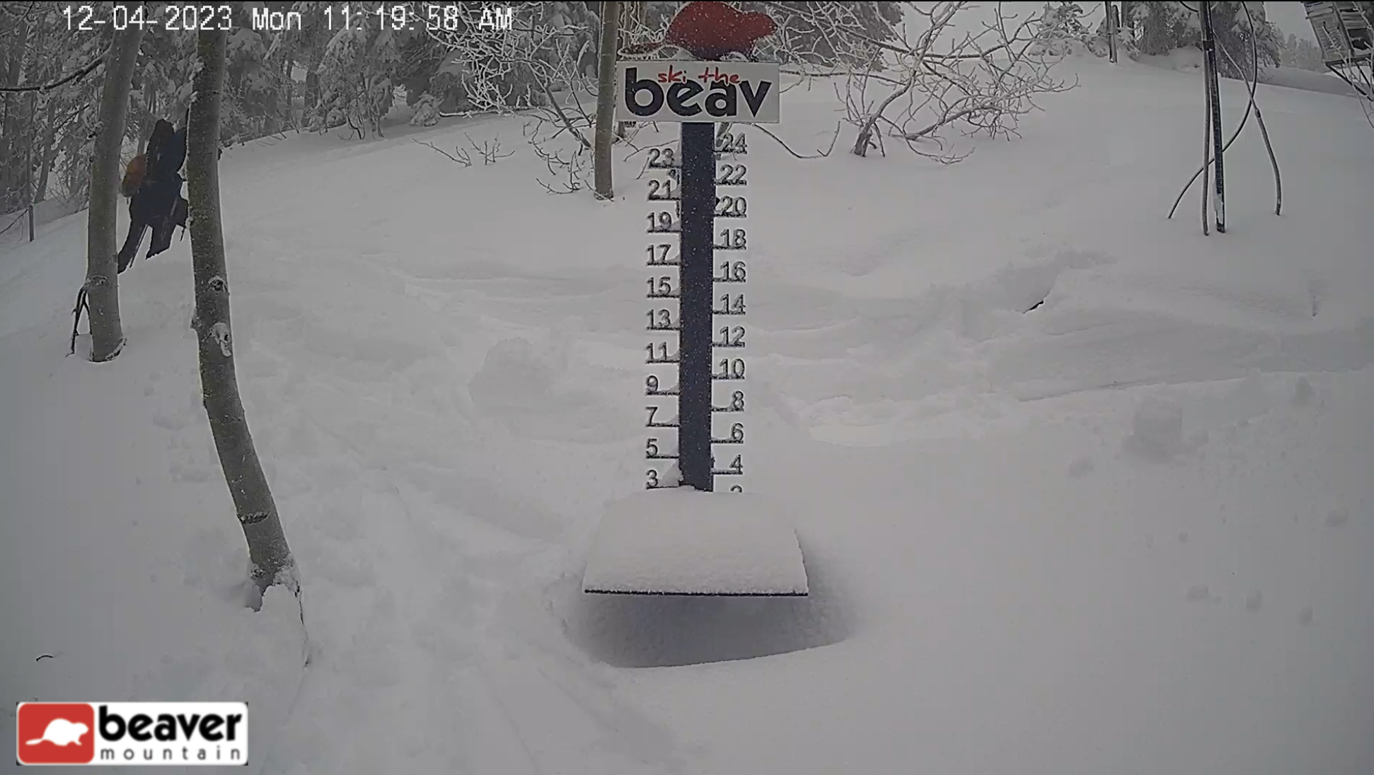 Beaver Mountain Ski Area Webcams - Utah Cams